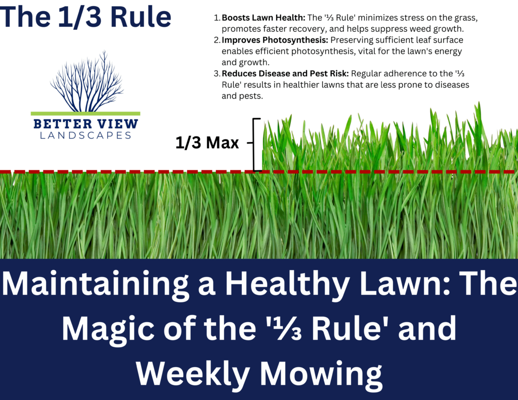 Maintaining a Healthy Lawn: The Magic of the '⅓ Rule' and Weekly Mowing